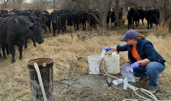 MBMG - Ground Water Investigations Program