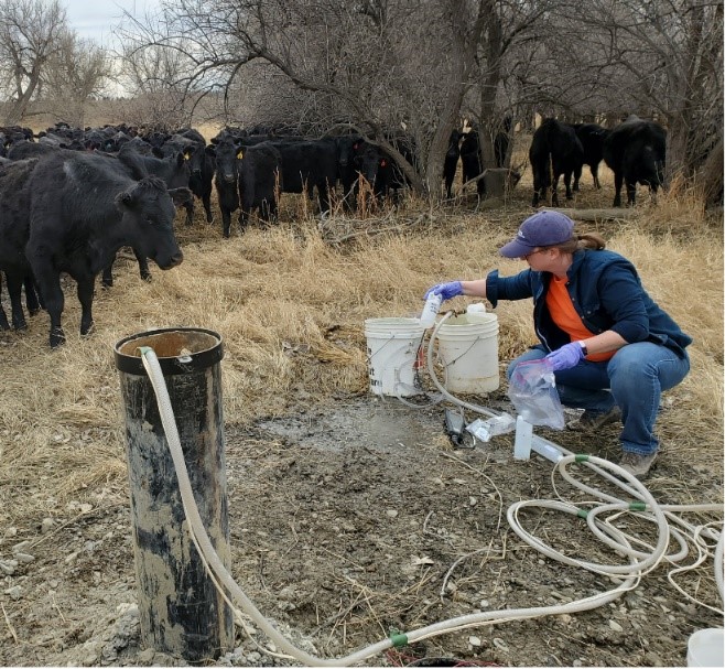 MBMG - Ground Water Investigations Program